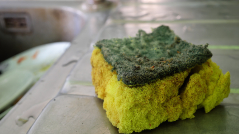 Be aware of your kitchen sponge: What it’s really hiding and how to ...
