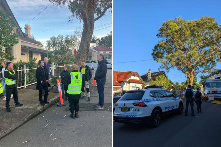 Neighbourhood erupts over Aussie council's plan to axe 40-year-old ...