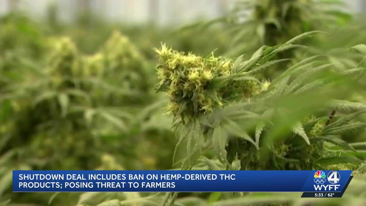 Georgia expands medical marijuana access as chronic pain patients ...