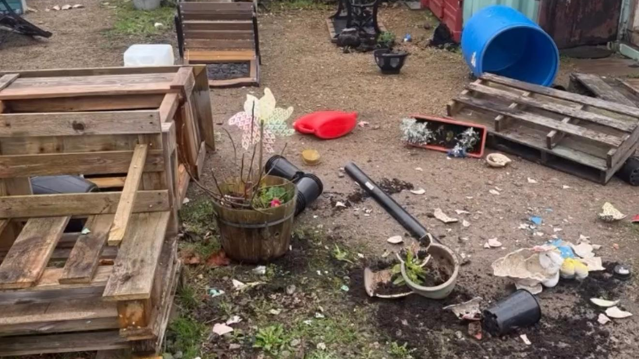 Anger as community garden vandalised a second time