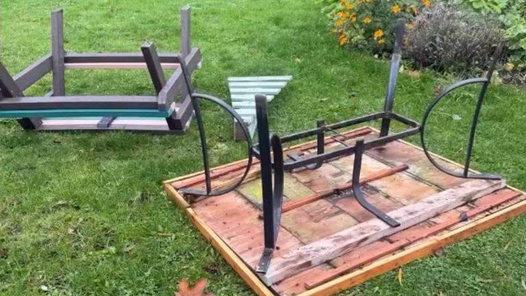 Anger as community garden vandalised a second time