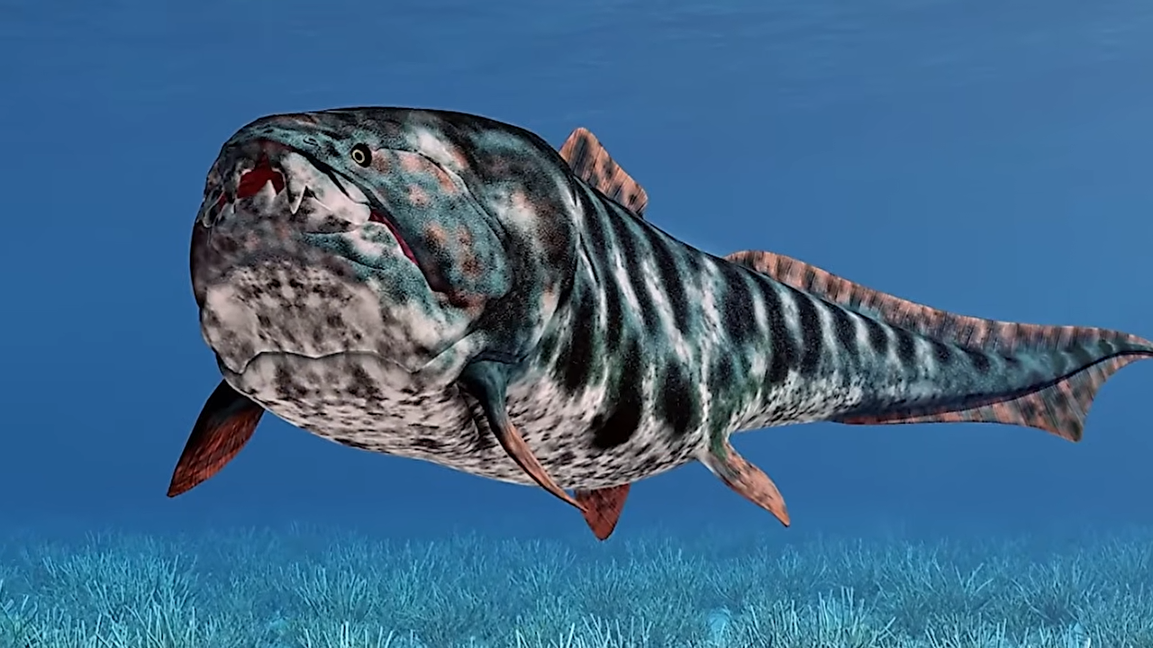 The evolution of North America’s prehistoric giants