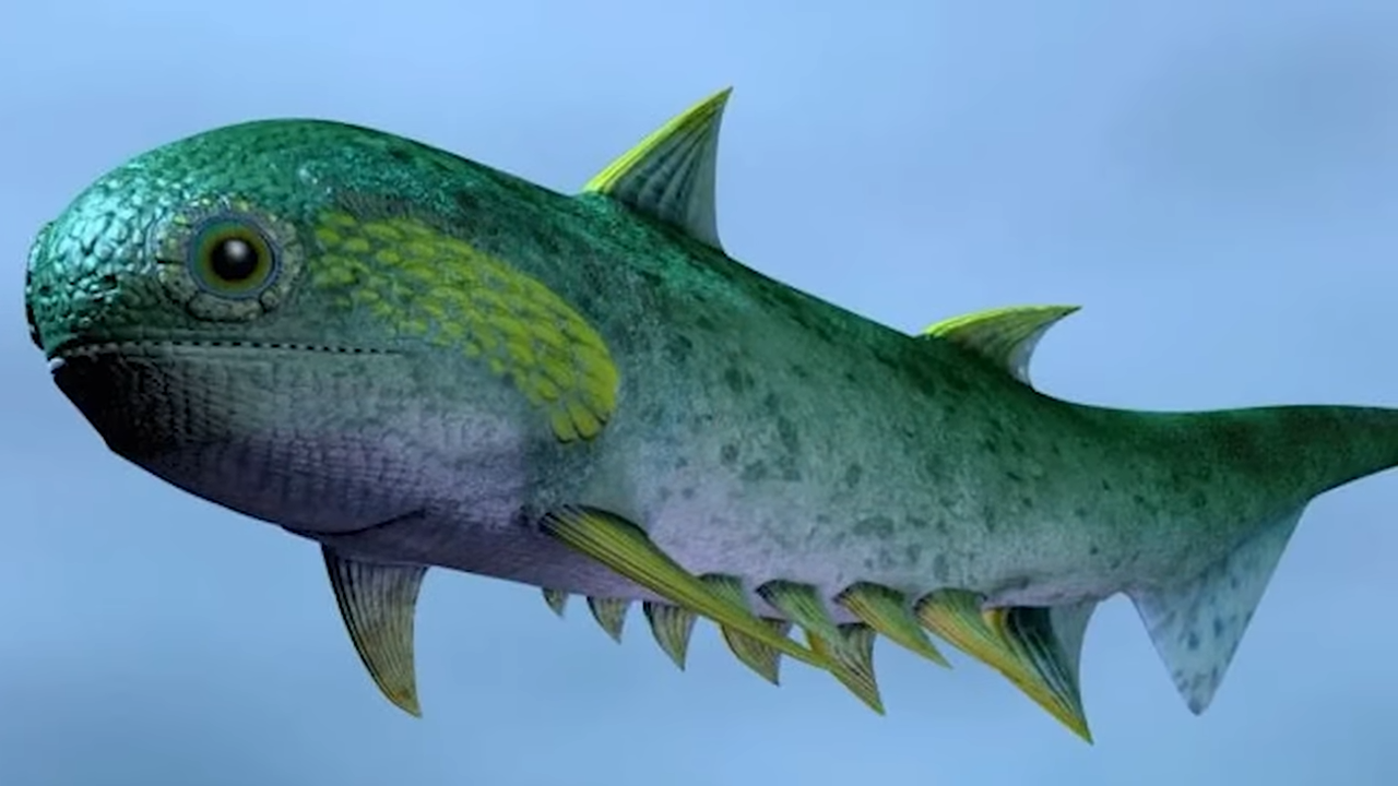 Prehistoric sharks revealed – a complete timeline through deep time