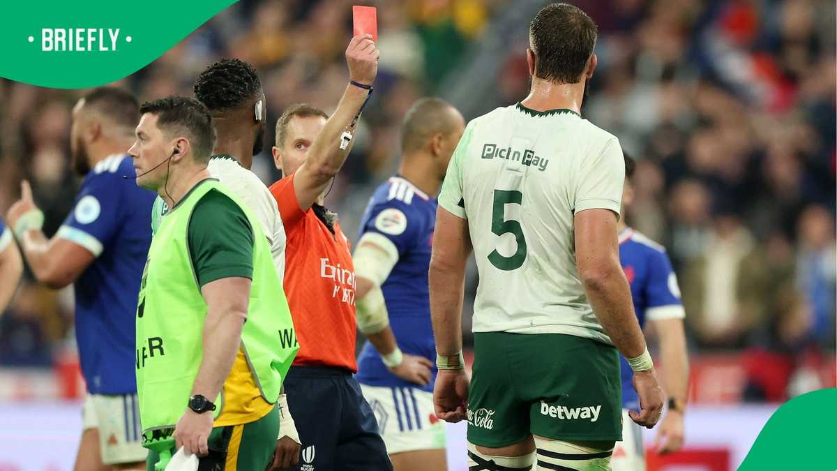 Springboks Seek Clarity as Appeals Loom Over Red Cards