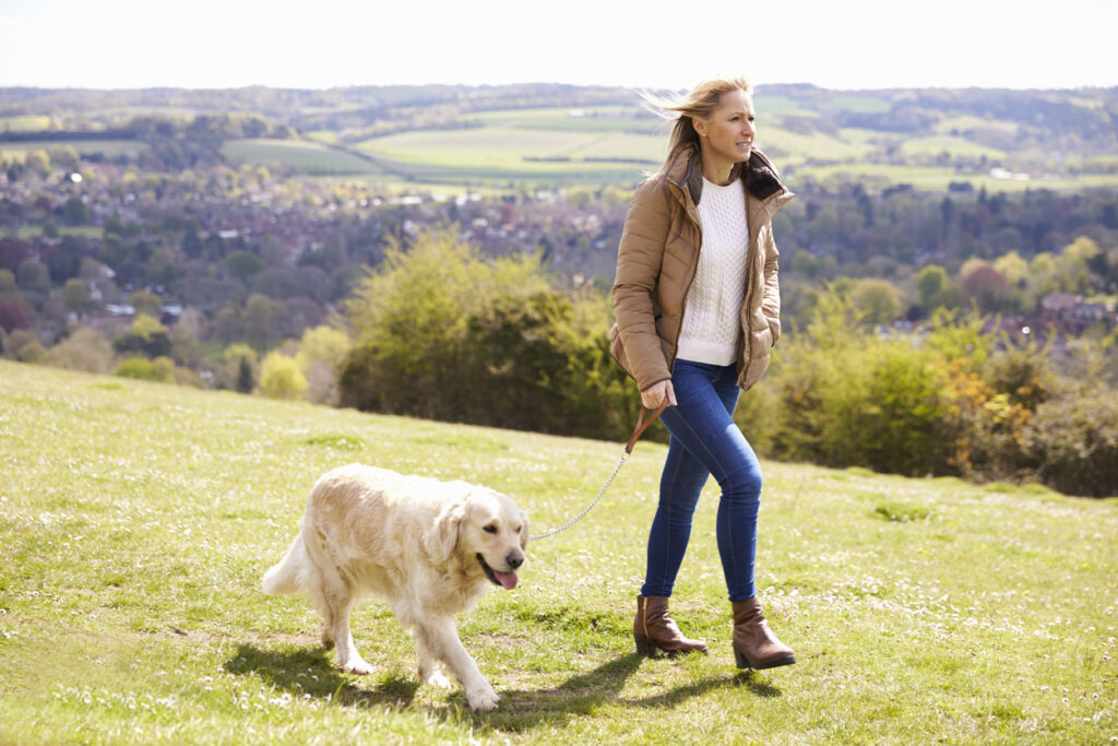 13 Dog Walking Rules People Break Without Realising