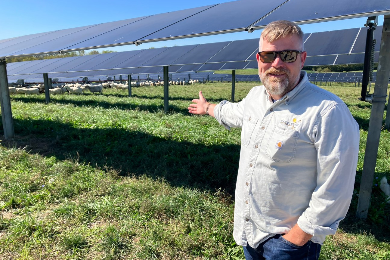 Can Cows and Solar Power Coexist? We’re About to Find Out