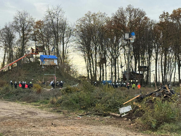 Räumung läuft: Polizei bringt erste Aktivistin aus dem Sündenwäldchen