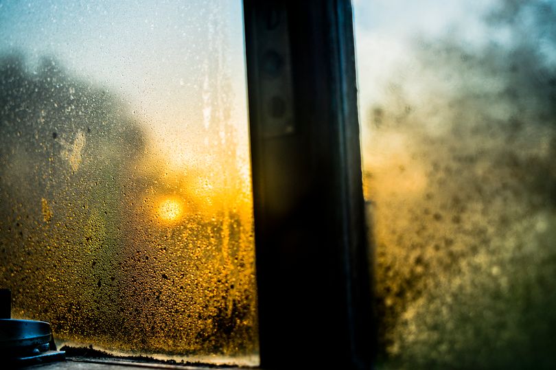 'Condensation stopped forming on my windows after I placed 65p item on ...