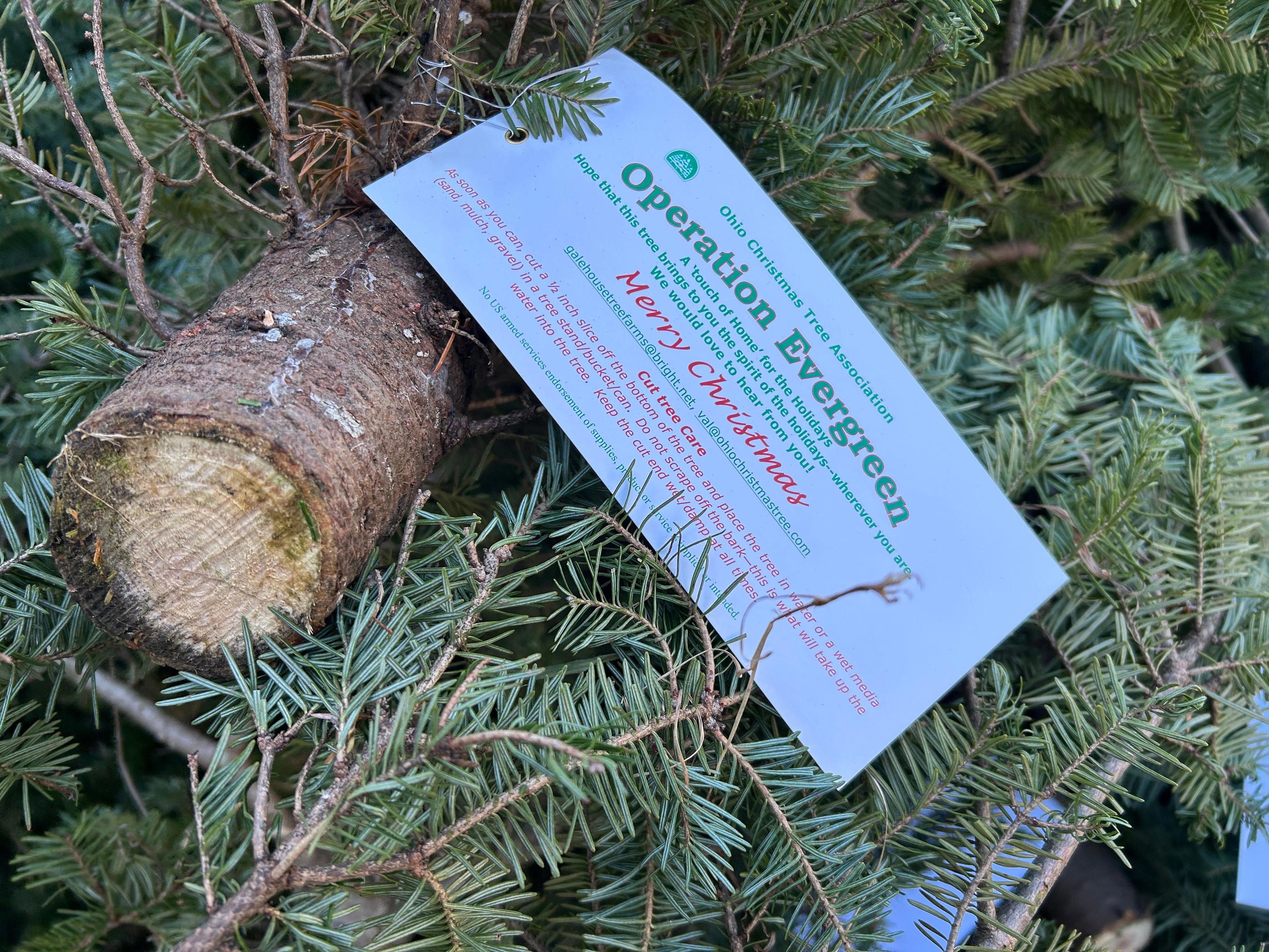 Operation Evergreen delivers holiday cheer to troops abroad