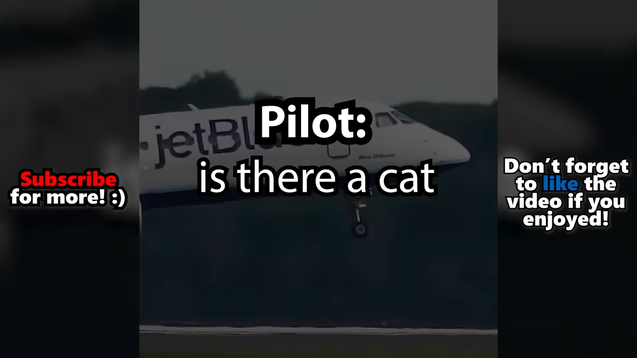 Funniest pilots and controllers compilation