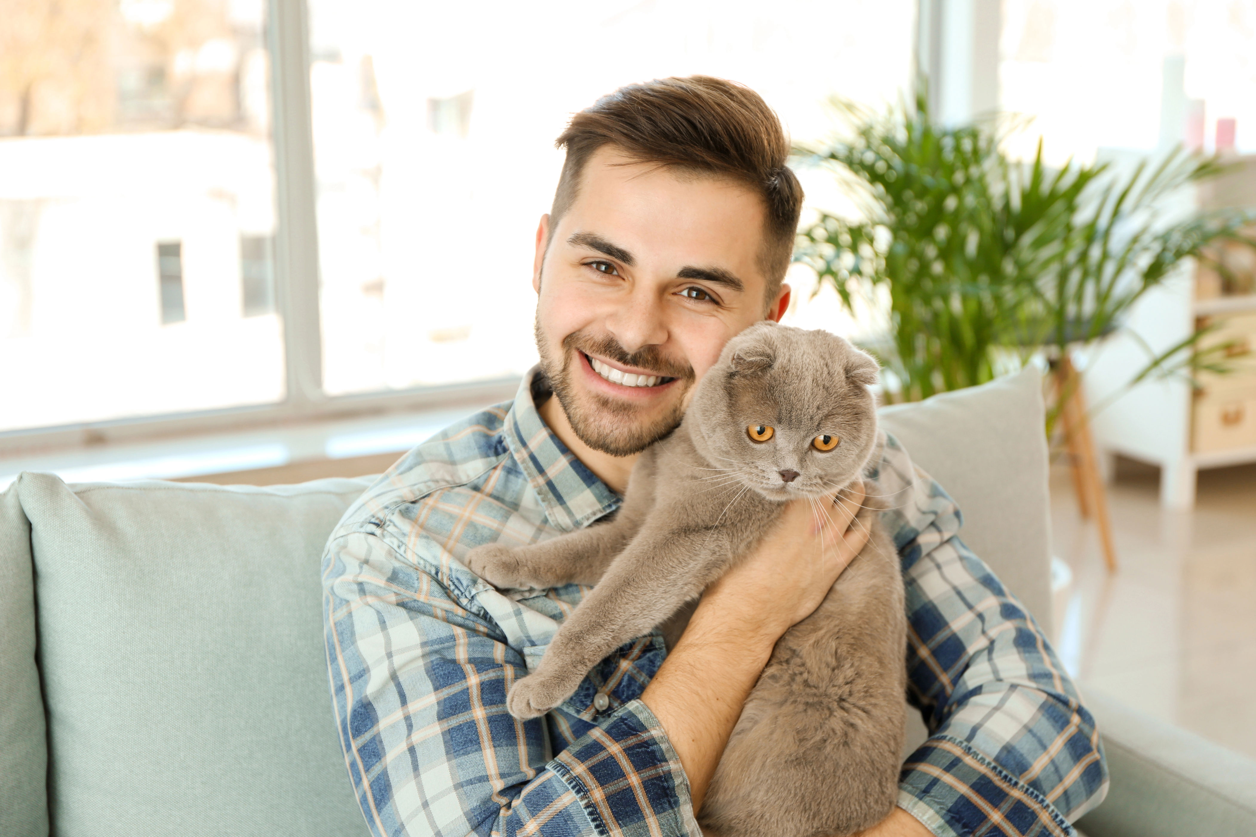 Husband’s Secret Cat Bond Revealed in Sweet Snuggle Photos