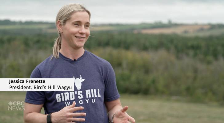 Small farm, big demand: New Brunswick Wagyu can’t cross borders