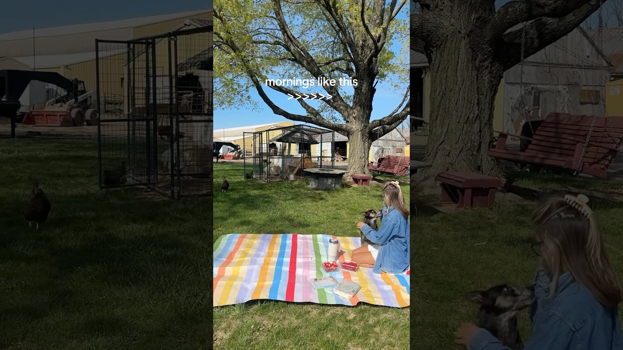 I love my little life thank u for being here! #farmlife #ohio #yeehaw # ...