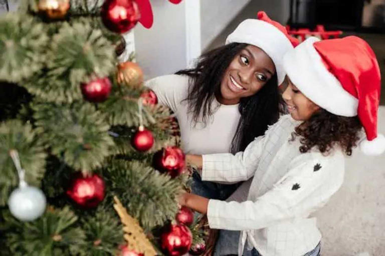 DIY Christmas tree: Mom and daughter turn sticks into festive magic on ...