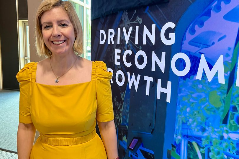 Andrea Jenkyns vows not to be 'silenced' over proposed solar farm near ...