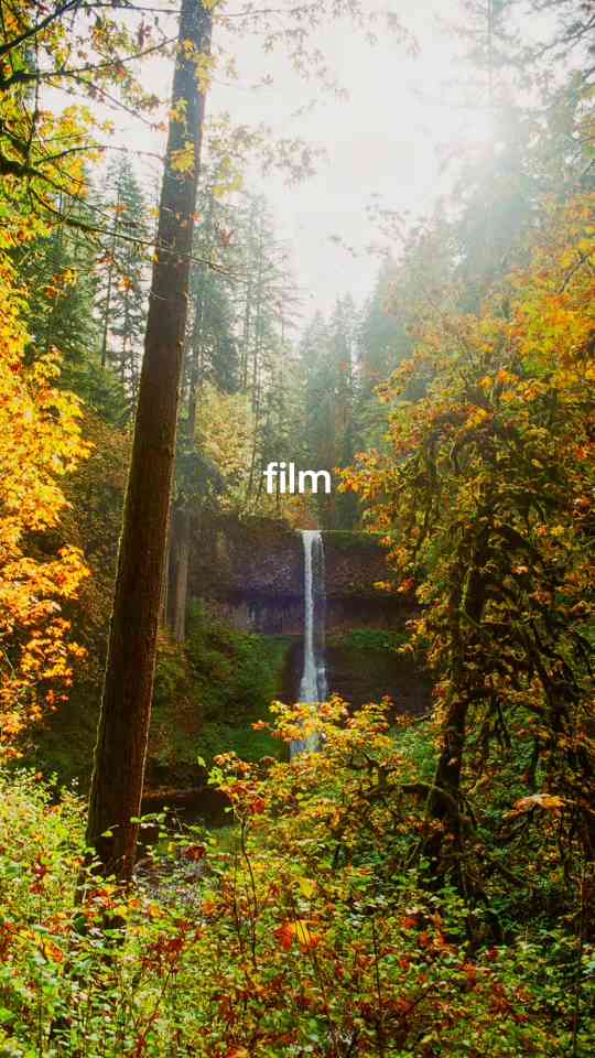 iPhone vs Film — Which One Truly Captures Your Travel Adventures?