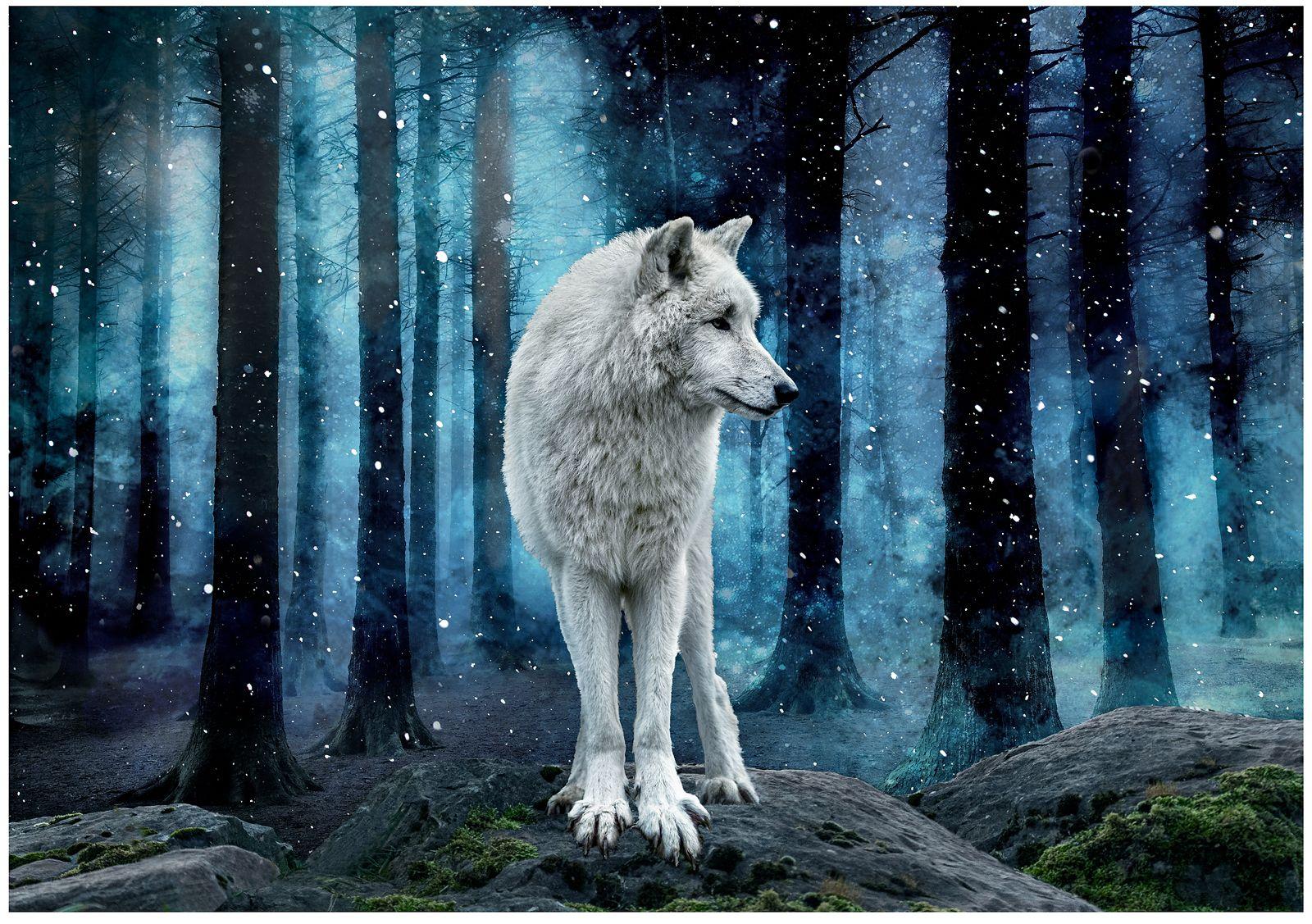 Poulton Photographic Society Triumphs at Bob Robinson Trophy Competition