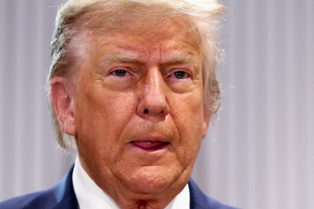 Trump 'looks like his goose is cooked' on Epstein files: former ...