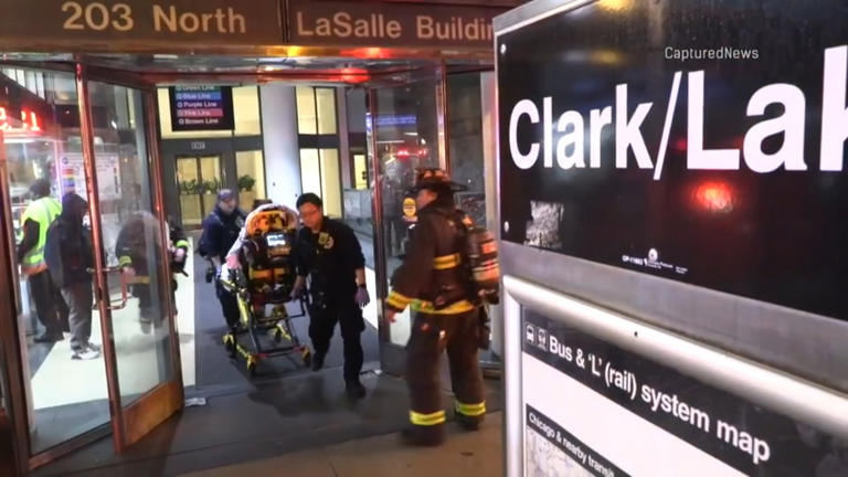 Person of interest in custody after woman set on fire on CTA train: Police