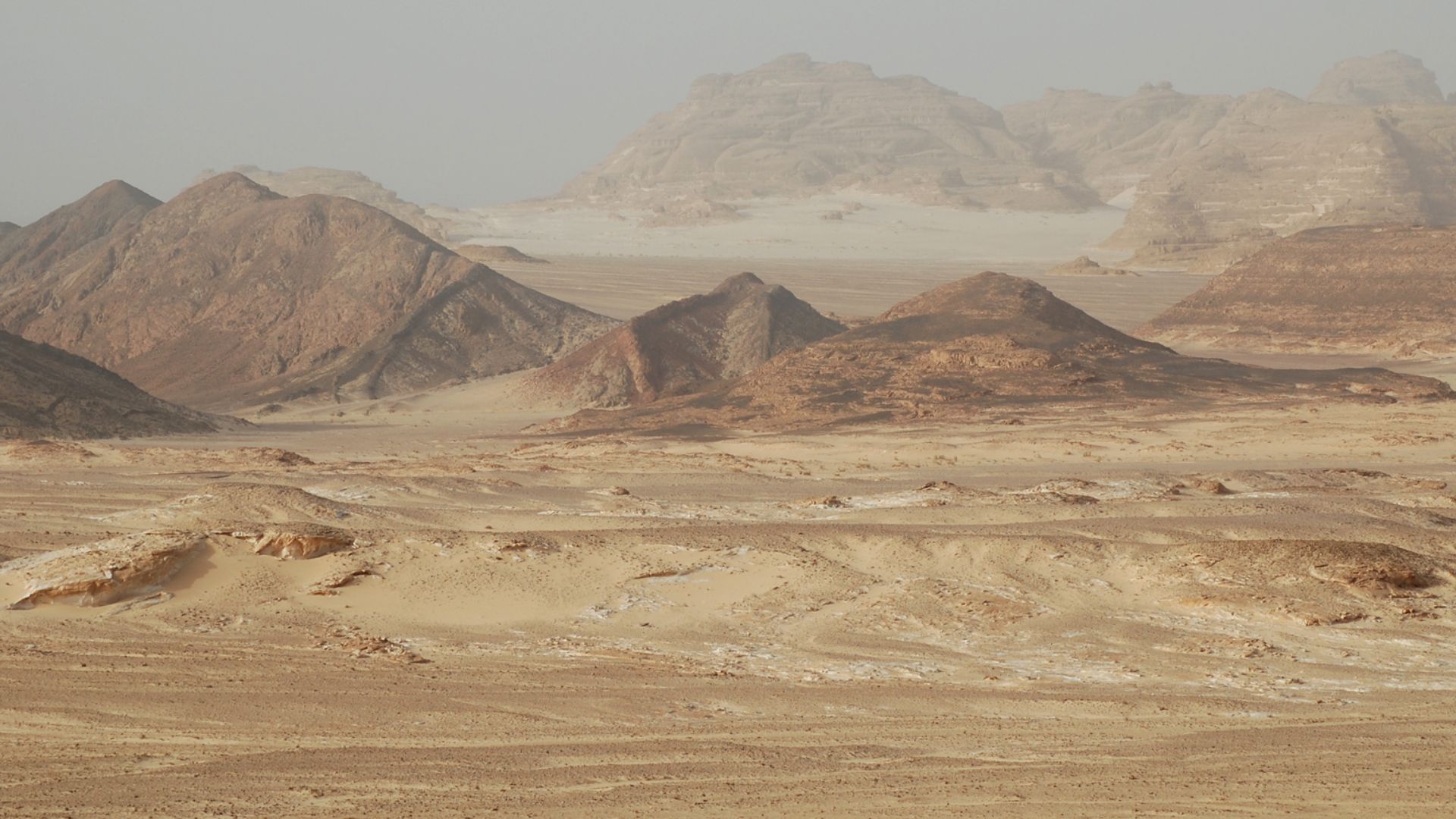 Archaeologists in Egypt uncovered a massive stronghold along the route ...