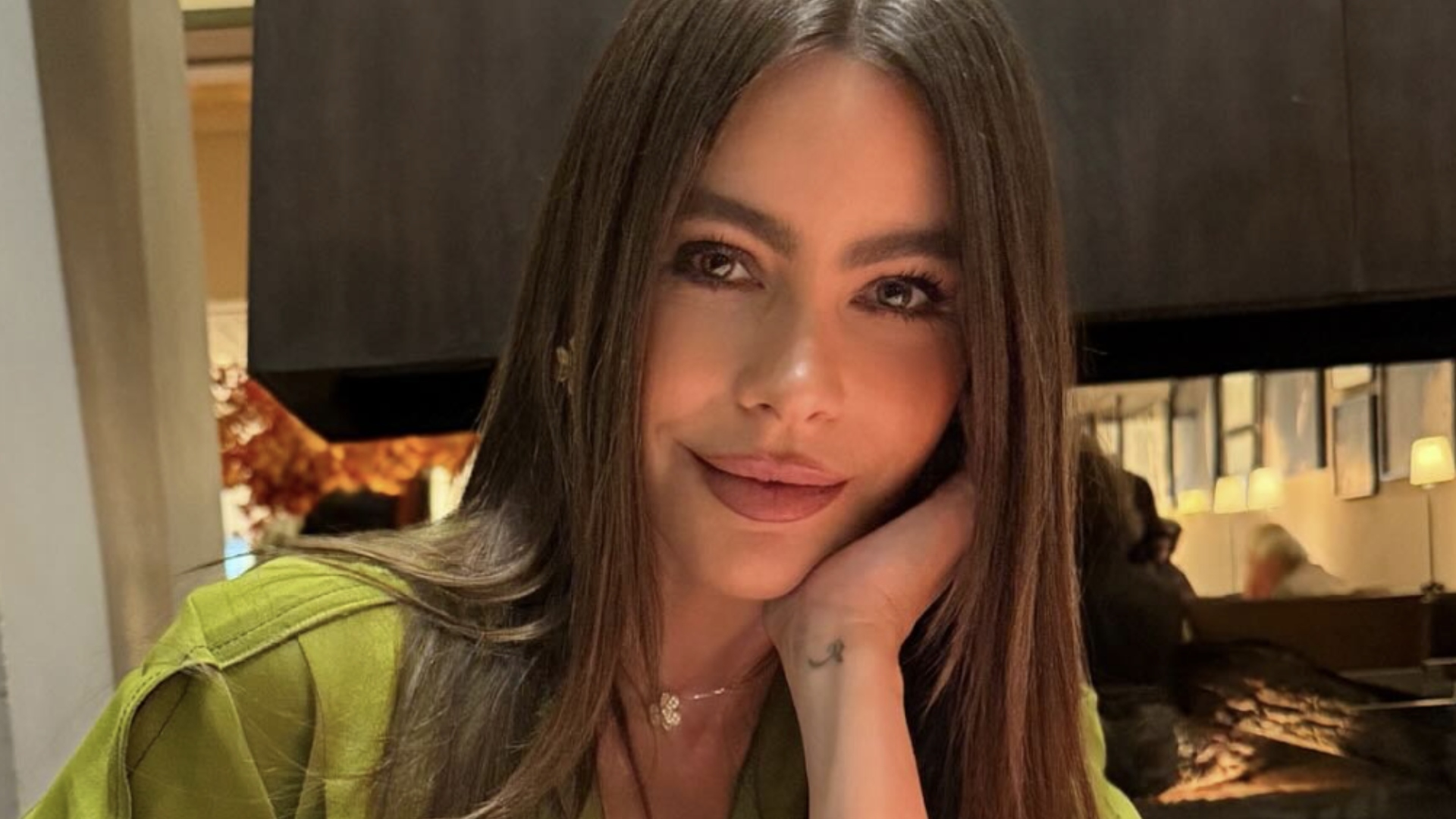 At 53, Sofía Vergara enhances her figure in a sculpting dress