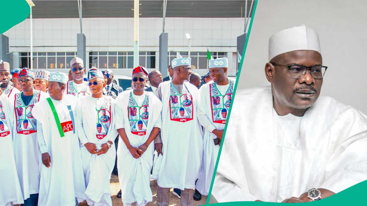 Prominent APC senator reveals why ruling party may face huge crisis ...