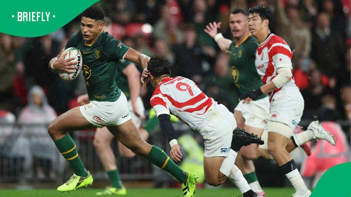 Springboks Touch Down in Ireland as Fans React to Luggage Clip