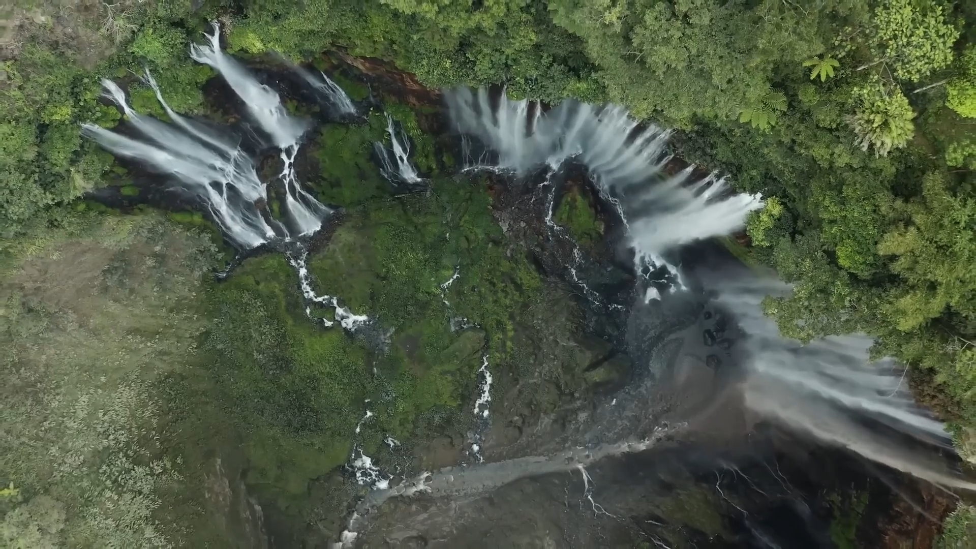 The Amazon River: Lifeline of the World’s Greatest Rainforest
