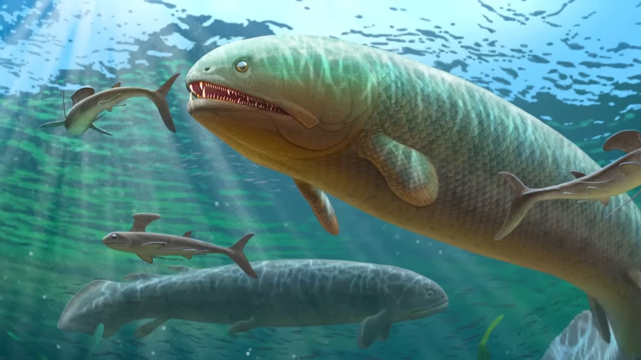 The creatures that ruled ancient Australia through time