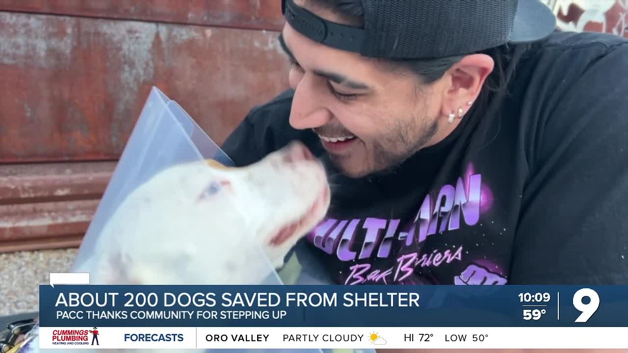 About 200 dogs saved from PACC over the weekend