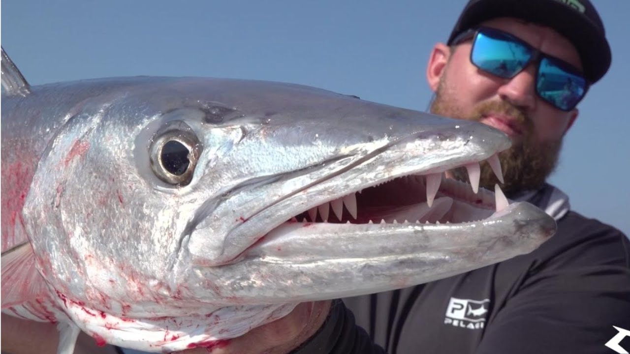 Eating these scary fish - you won’t believe how good they taste