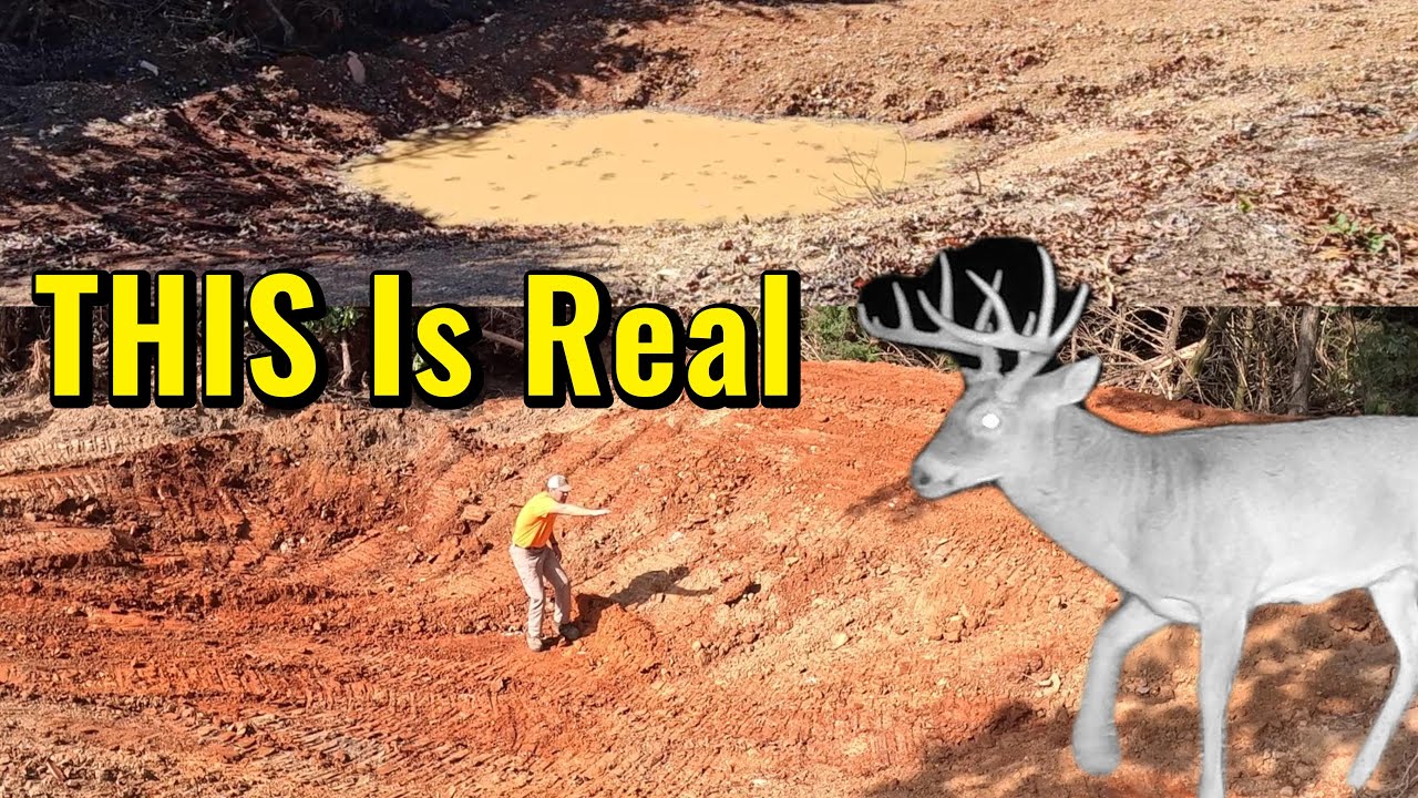 New Deer Watering Hole After Heavy Rains – Trail Cam Proof!