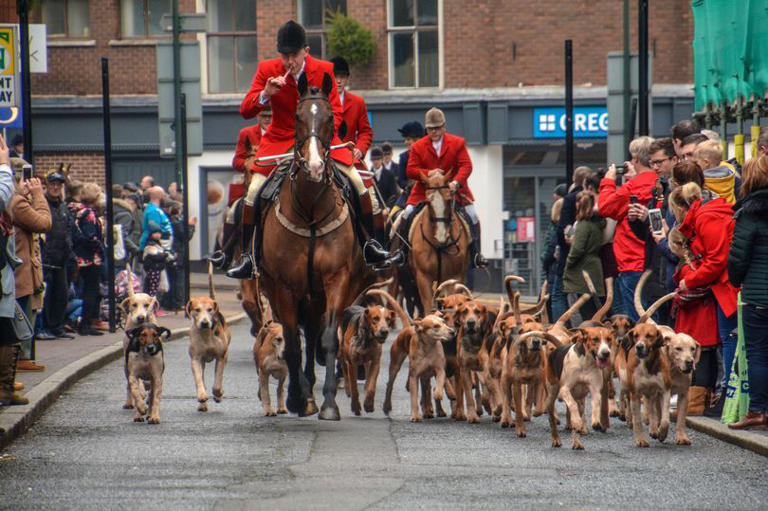 TV star Chris Packham steps in as town declares Boxing Day hunt 'not ...