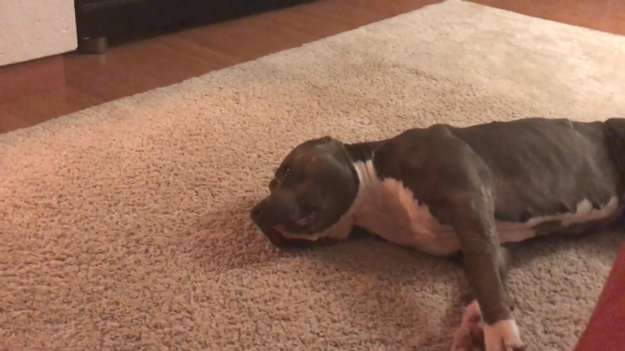 Ava’s story the moment the world cried together