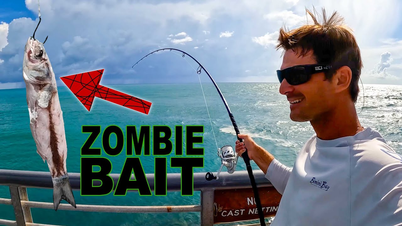 The Fish were Eating EVERY BAIT I Cast Out