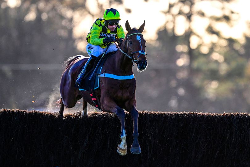 'Unreal' horse stars in impressive win at Exeter Racecourse