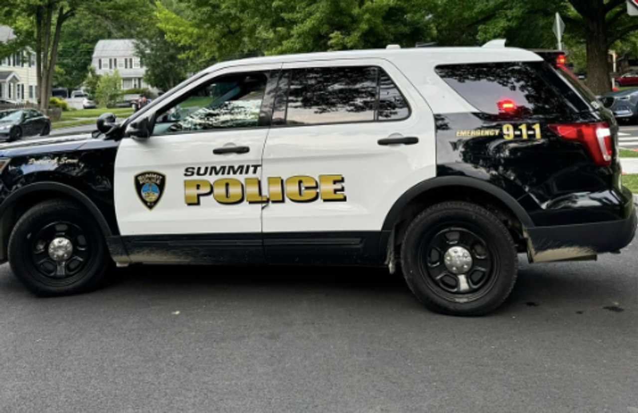 Out-Of-Control Pit Bulls Kill Woman's Dog, Injure Her In NJ Attack: Police