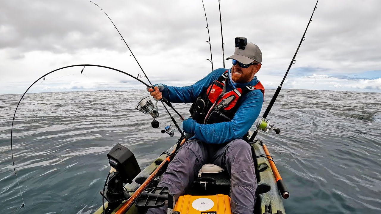 The Pacific giant that dragged a kayak fisherman to the brink