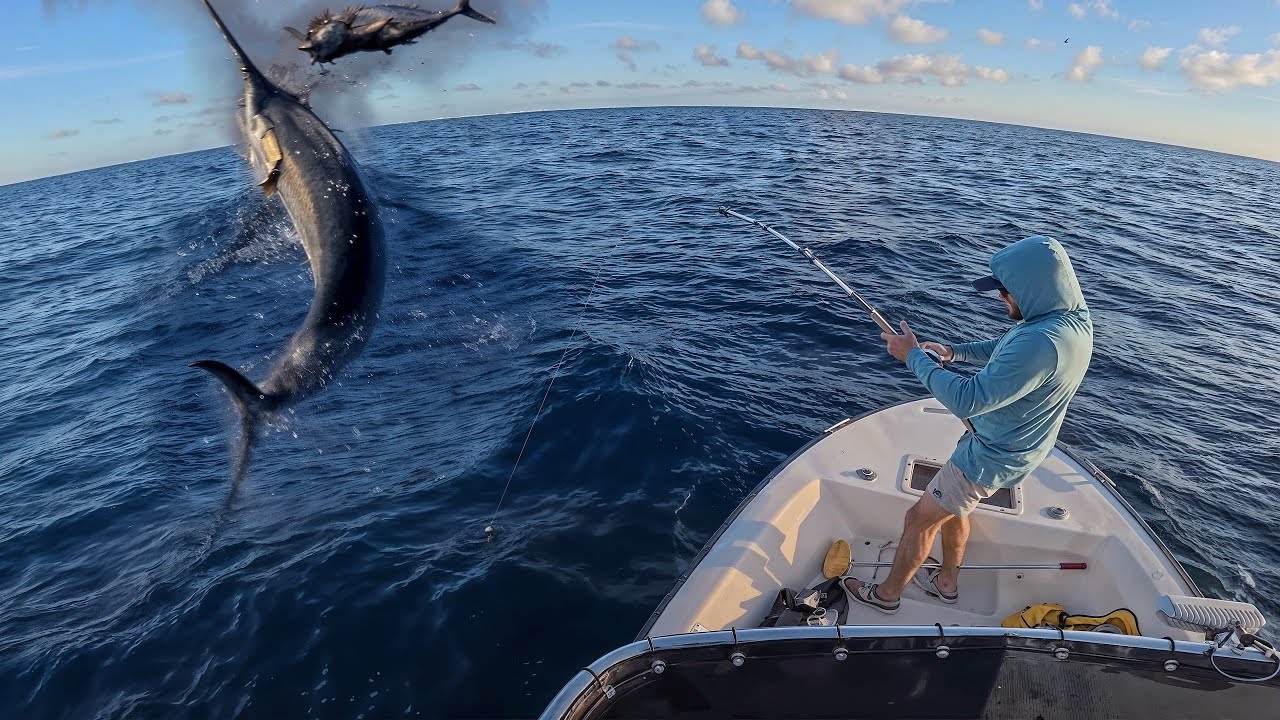 Monster sailfish hooked - then everything goes wrong on the water