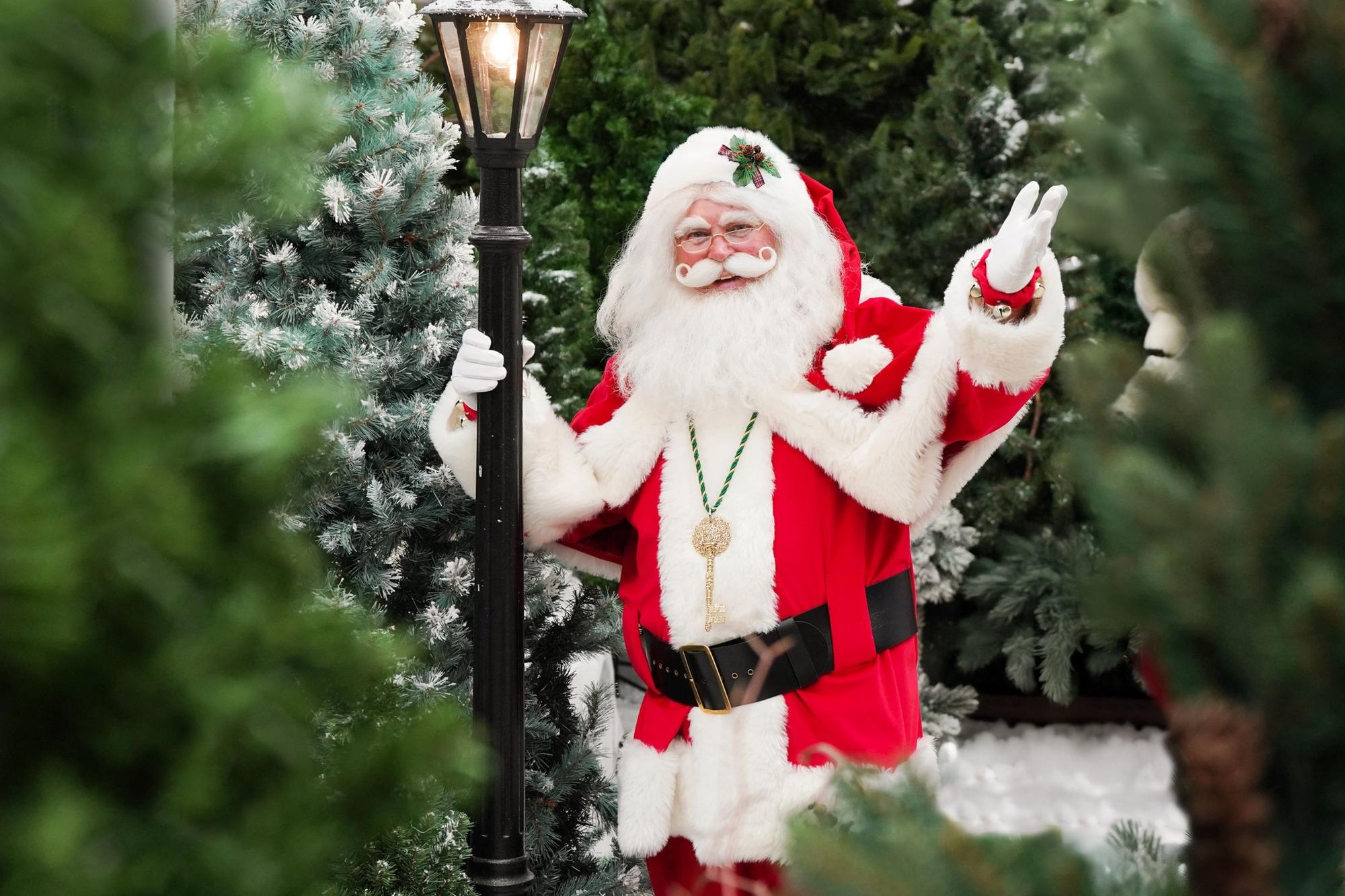 Step into the magic at Dobbies Atherstone store
