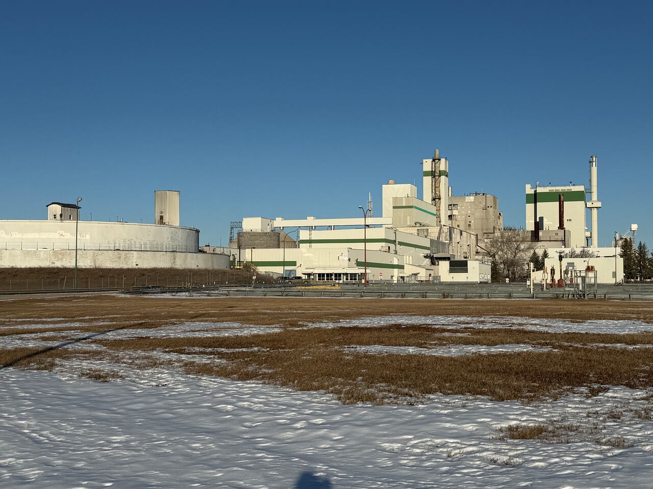 Prince Albert pulp mill will not reopen, OSB plant still looking to ...