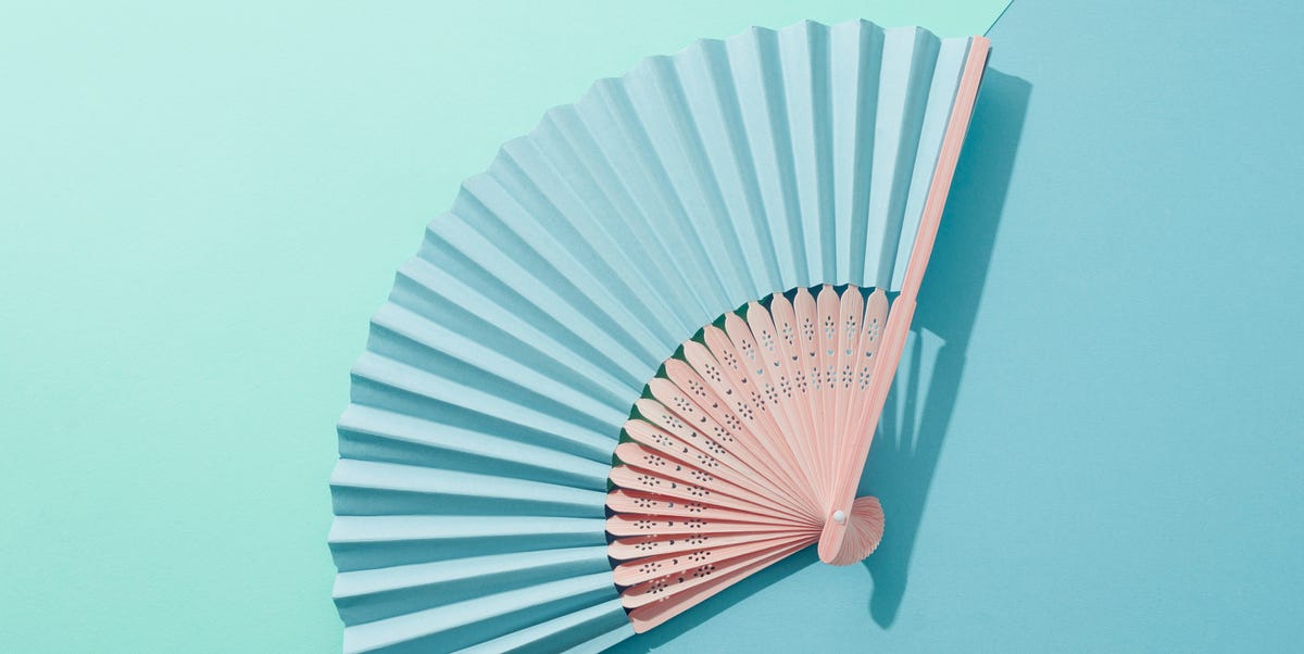 This Researcher Led Trials For The New Hot Flash Drug. Here’s What She ...