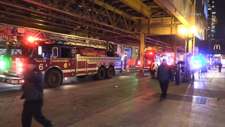 Person of interest in custody after woman set on fire on CTA train: Police