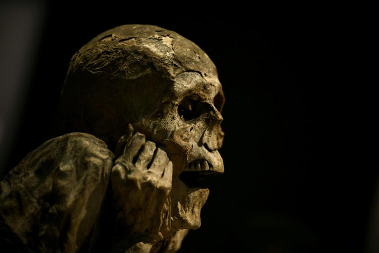 Montrer les corps des momies et regarder la vie en face