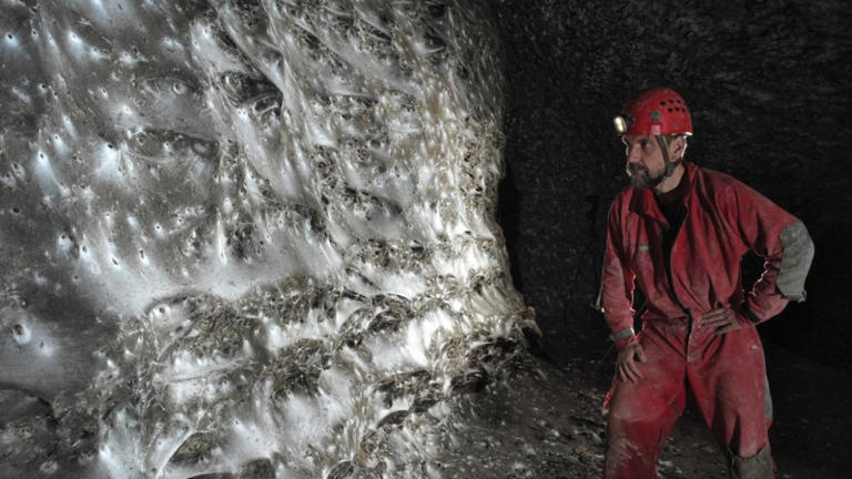 What is World’s Biggest Spider Web Discovery Known til Date?