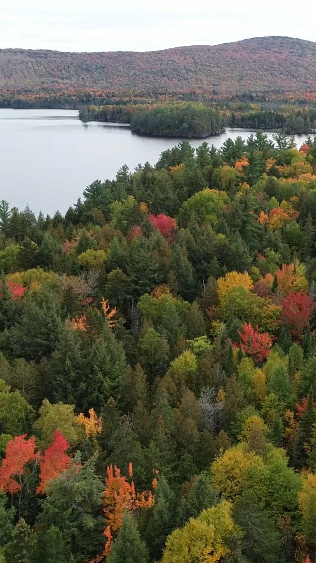 From Above: Vermont's Seasonal Beauty Through Drone Eyes.