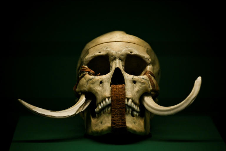 Montrer les corps des momies et regarder la vie en face