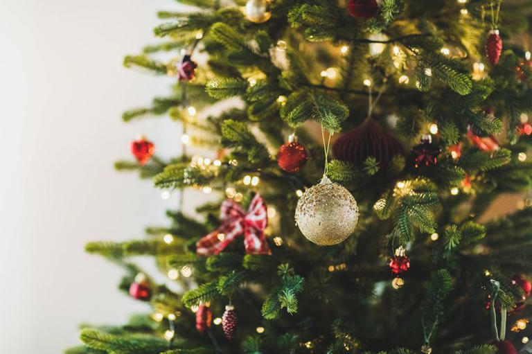 Exact date UK households should put Christmas tree up is sooner than ...