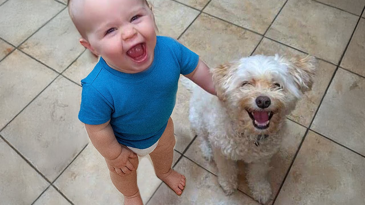 Baby and dog create adorable moments you have to see