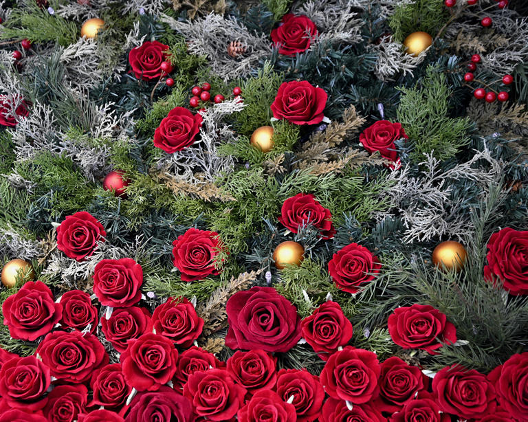 Kourtney Kardashian’s Red Rose Christmas Tree Is Pure Modern Romance ...